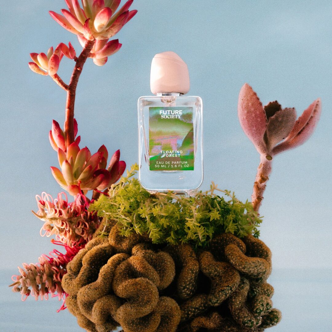 Fragrance insights: new brand 'tapping' the DNA of extinct flowers ...